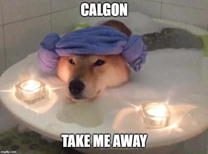 Calgon Memes